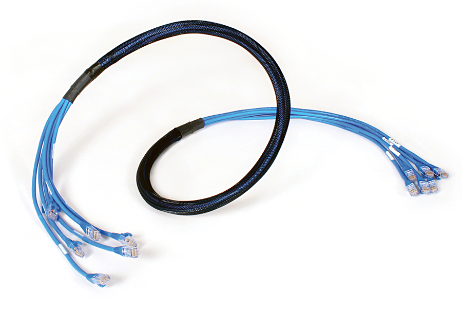 Cat6a S/FTP CMR Pre-Terminated Copper Trunk, 6 × RJ45 F/F, 10ft (3m ...